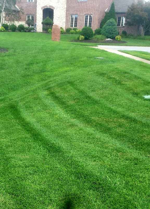 Deep Roots Lawn Care Lawn Care Services in Springfield, MO