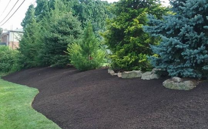 Cole’s Clips Lawn Care Services in Felton, DE