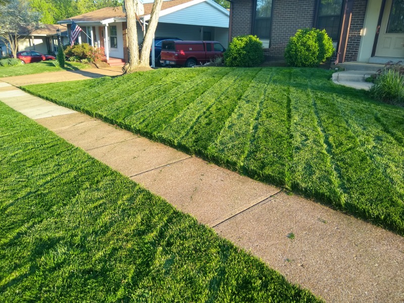 Boeck's Lawn Care Lawn Care Services in Fenton, MO