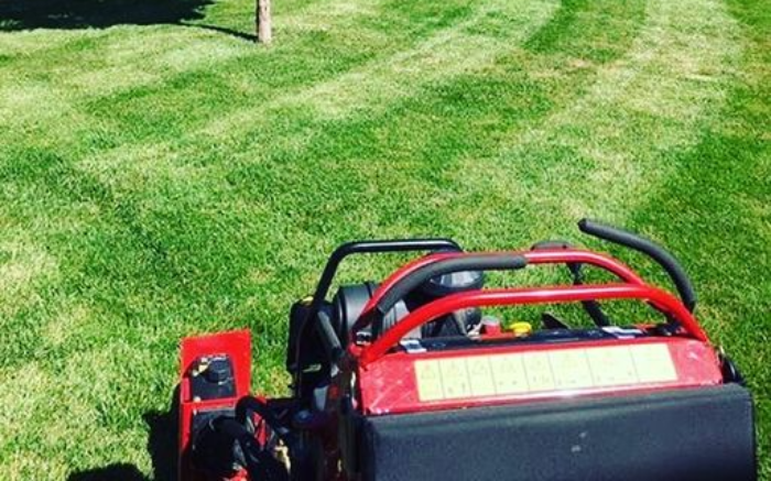 Davidson Landscaping Lawn Care Services in Lynn, MA