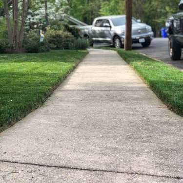 Alpha Lawn Maint. Lawn Care Services in Austin, TX