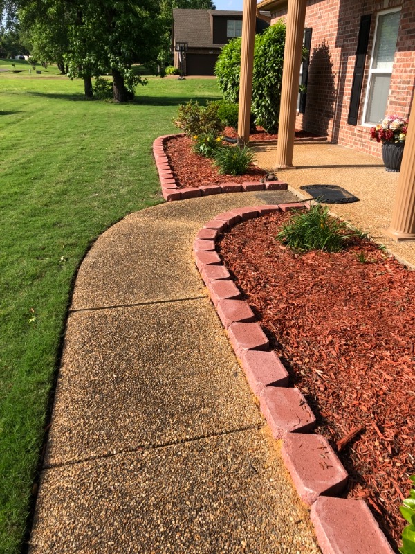 Complex Pro Lawn Care Services in New Albany, MS