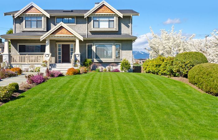 Inspiring Landscape Lawn Care Services in Colorado Springs, CO