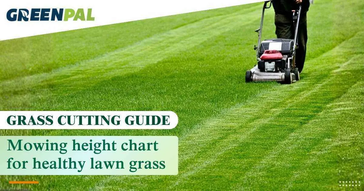 Mowing Height Chart: How High to Cut Your Grass | GreenPal