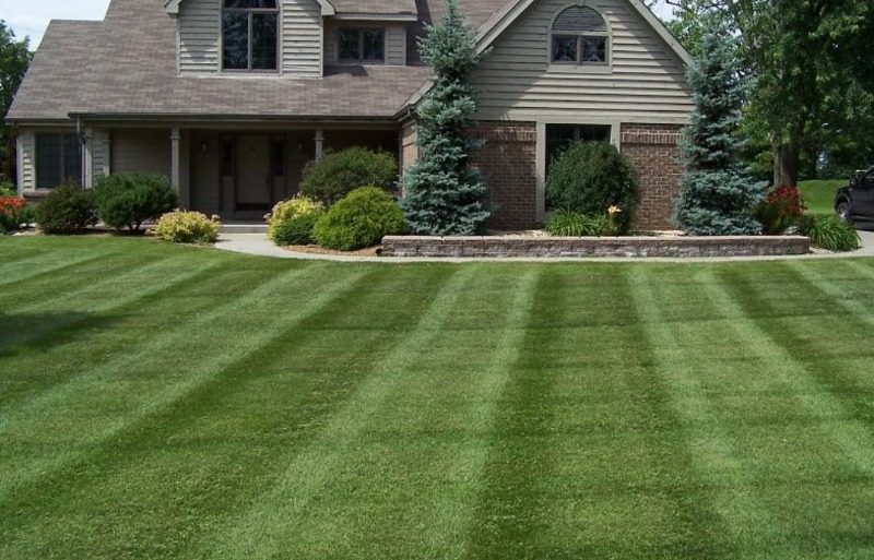 Smith Mowing Service Lawn Care Services in Raymondville, MO
