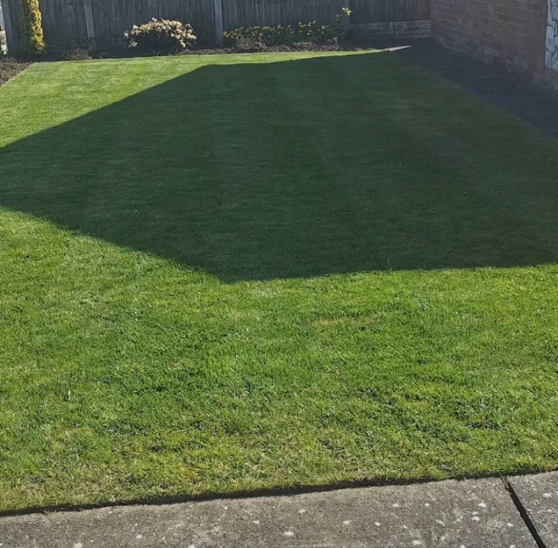 Mow Hawks 919 Lawn Care Services in Raleigh, NC