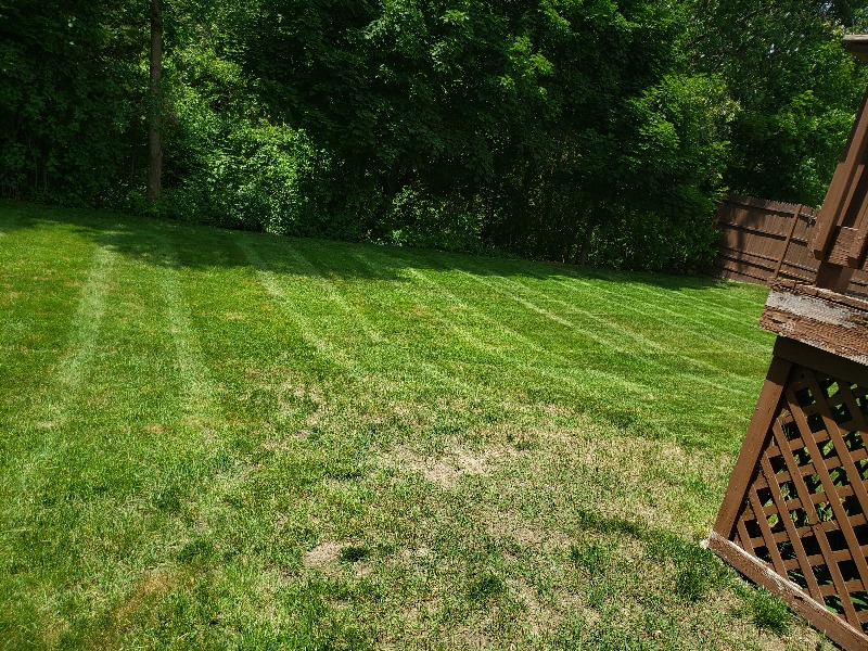 Maney Landscaping Lawn Care Services in Haverhill, MA