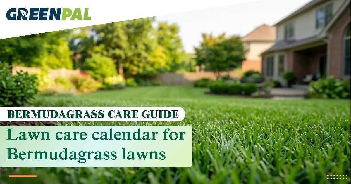 Bermudagrass Lawn Care Calendar for Year-Round Care | GreenPal