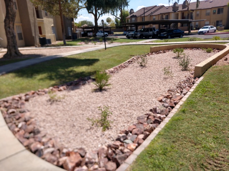 Backyard Escapes Lawn Care Services in Glendale, AZ