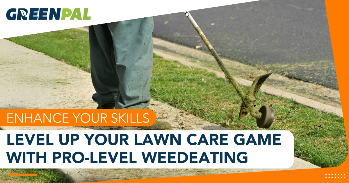 How to weed eat like a pro! | GreenPal