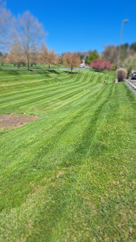 Vision Landscaping L Lawn Care Services in Northampton, PA