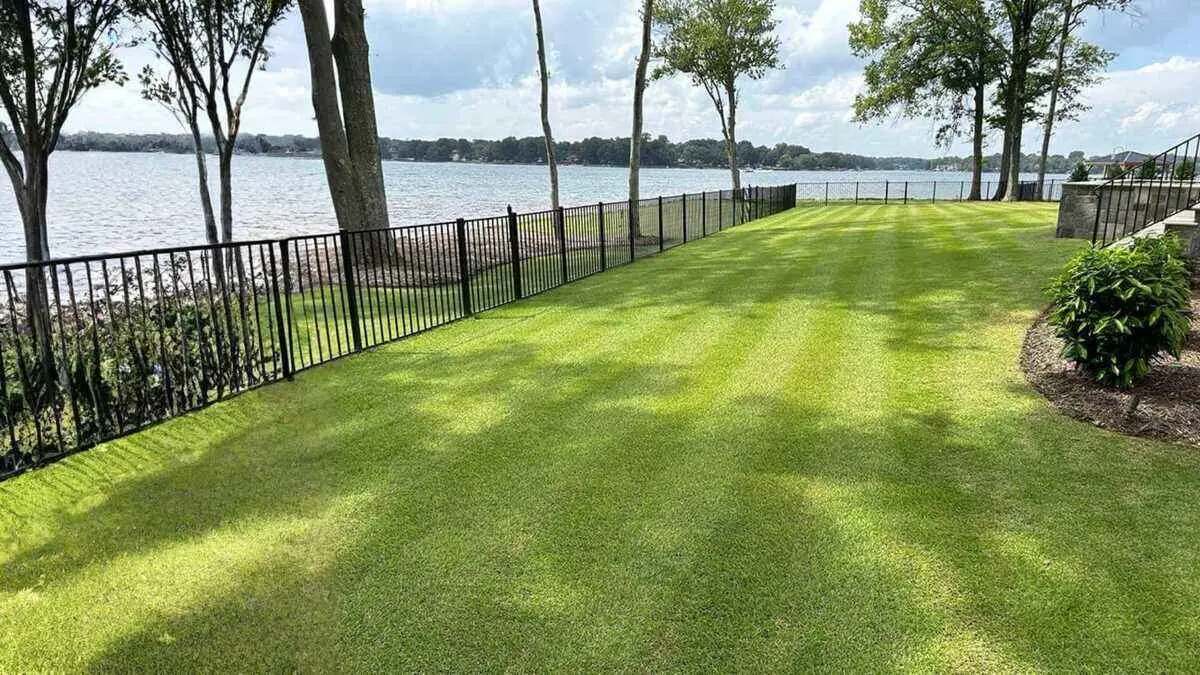 Warm-Season Grass Lawn Care Calendar: Year-Round Tips | GreenPal