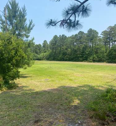 Sons Of Dixie Lawn Care Services in Green Sea, SC