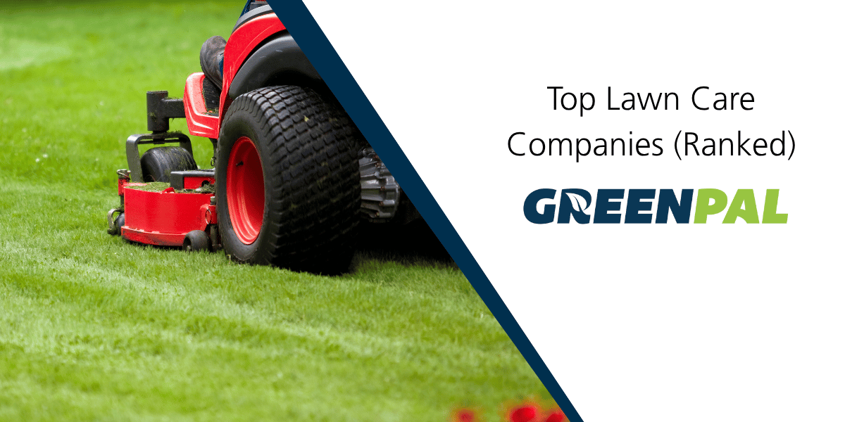 Best Lawn Care Services: Ranked by 75,000+ Real Customer Bookings