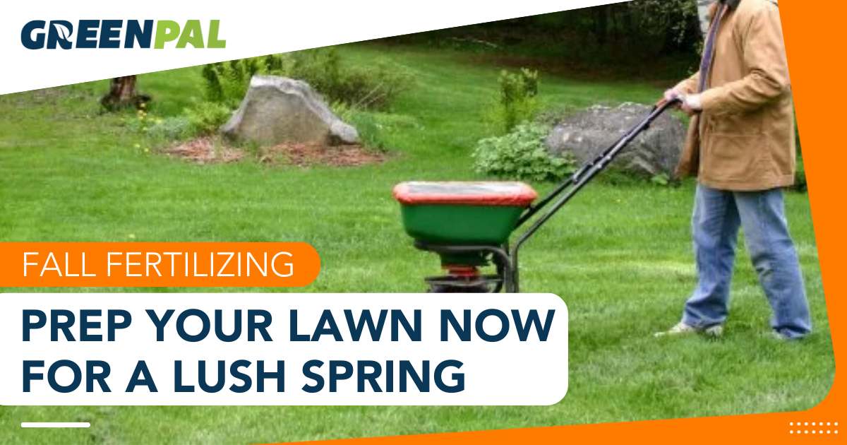 Give Your Lawn a Boost With Fall Fertilizing | GreenPal