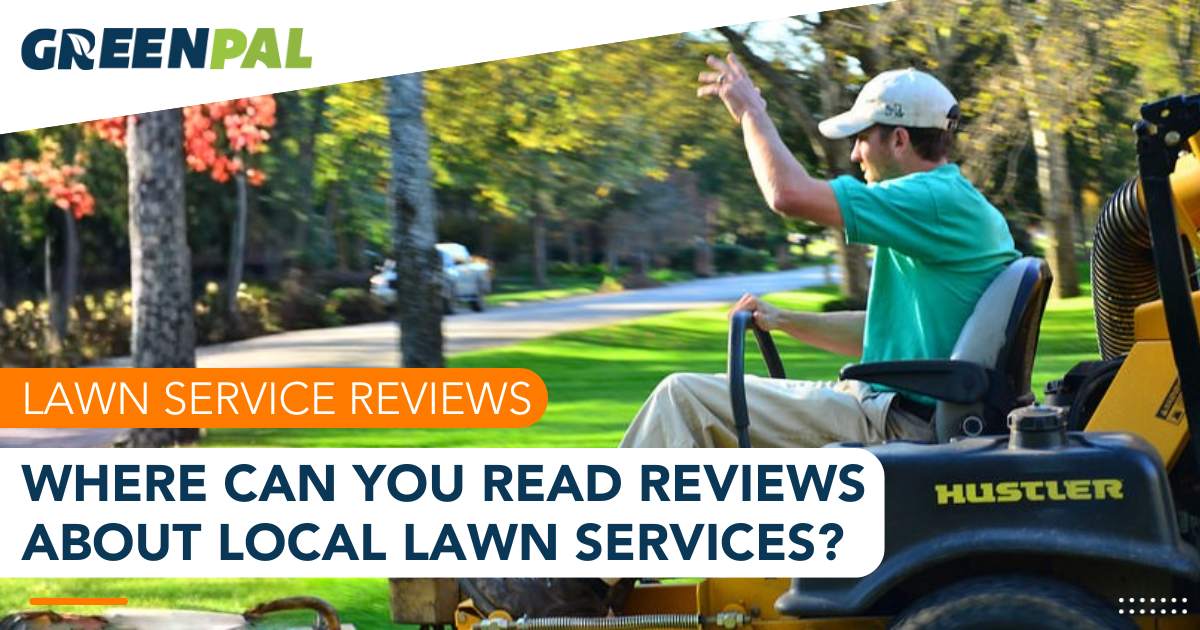 Where can you read reviews about local lawn services? | GreenPal