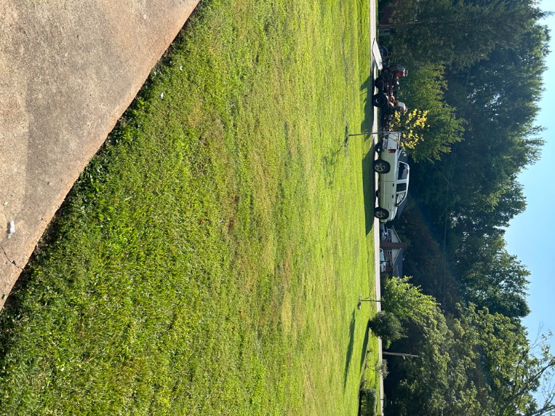 Grass Shark Lawn Car Lawn Care Services in Charlotte, NC