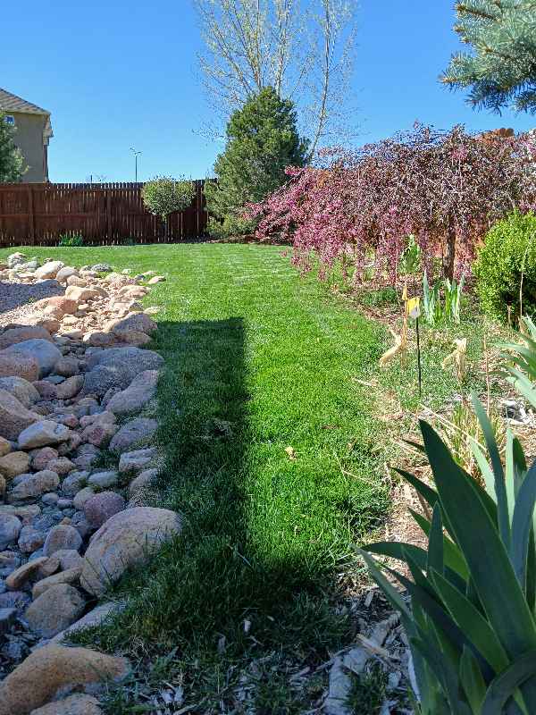 Lawns By Francois Lawn Care Services in Colorado Springs, CO