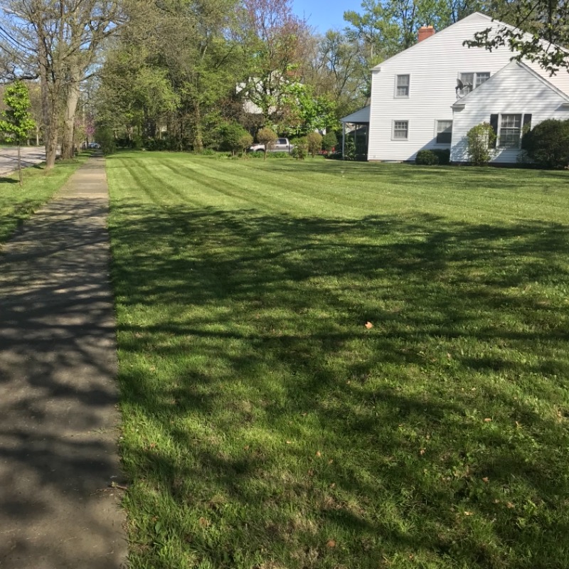 Green Bear Lawn Care Lawn Care Services in Cleveland, OH