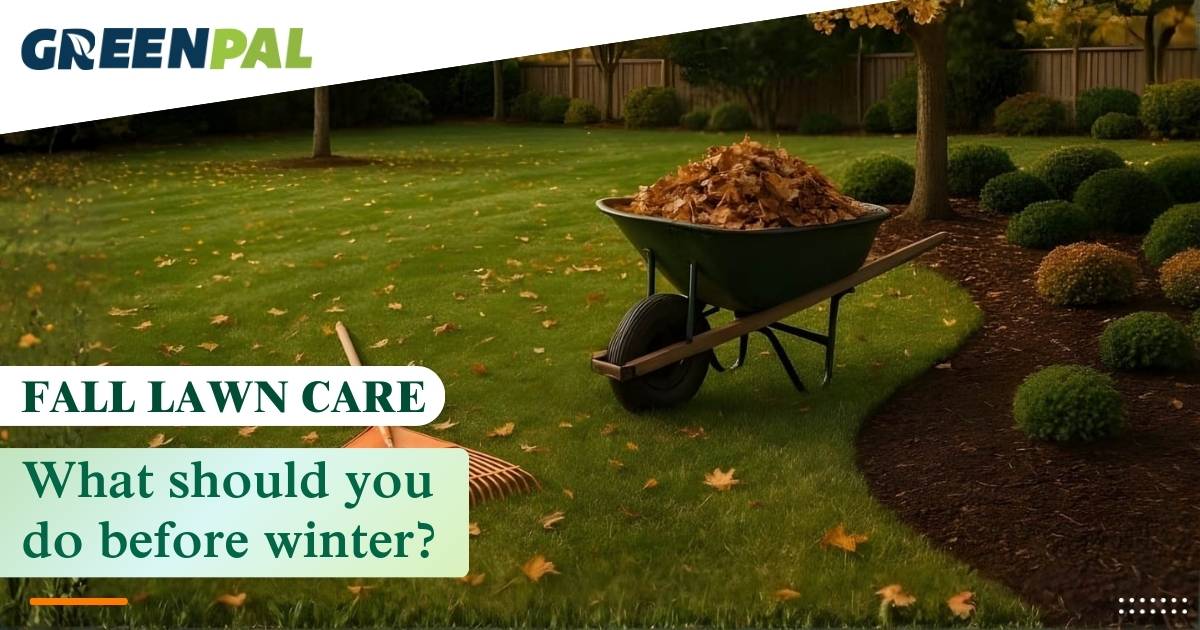 Fall Lawn Care: What to Do Before Winter (2026 Guide) | GreenPal