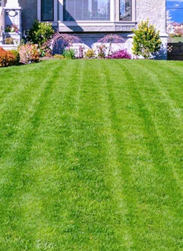 Pro Fuze Handyman Lawn Care Services in Englewood, CO