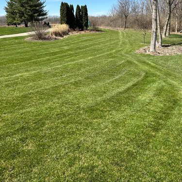 Adbee Lawn Care Lawn Care Services in Champaign, IL