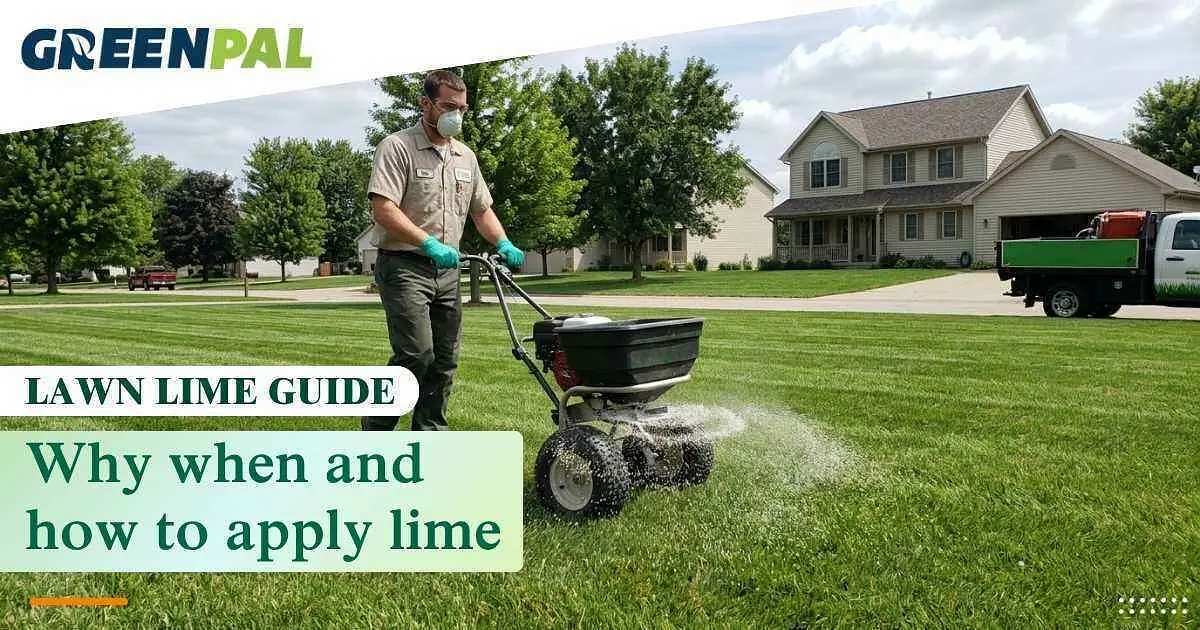 When and How to Apply Lime for a Healthier Lawn Soil | GreenPal