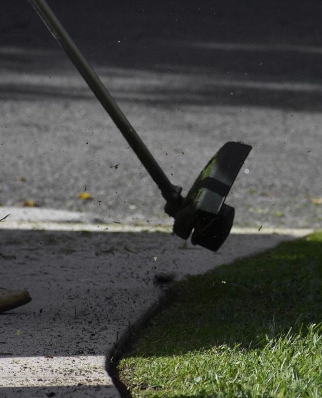 Mow Hawks 919 Lawn Care Services in Raleigh, NC