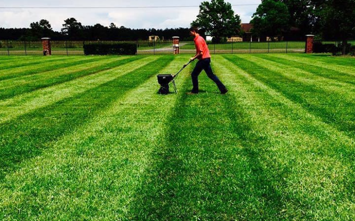Colorado's Own Lawn Care Services in New Orleans , CO