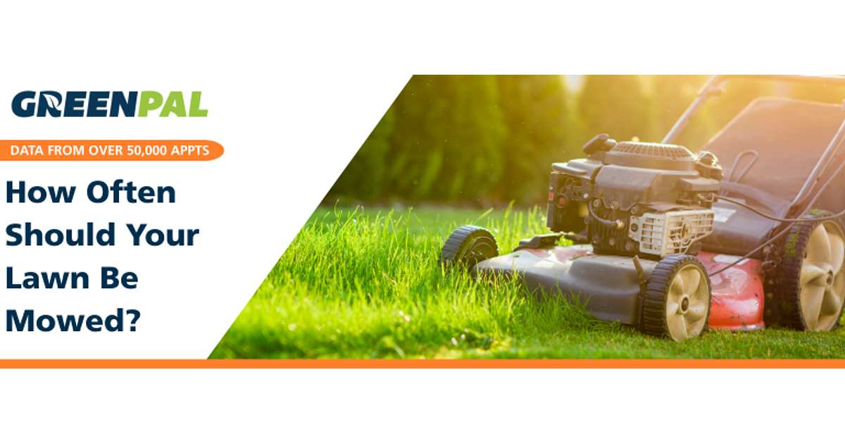 How Often Do Americans Mow Their Lawns? (Data From 50,000+ A