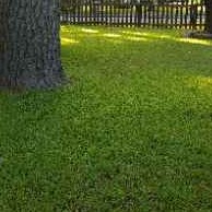 Slay Landscaping Lawn Care Services in Little Rock, AR