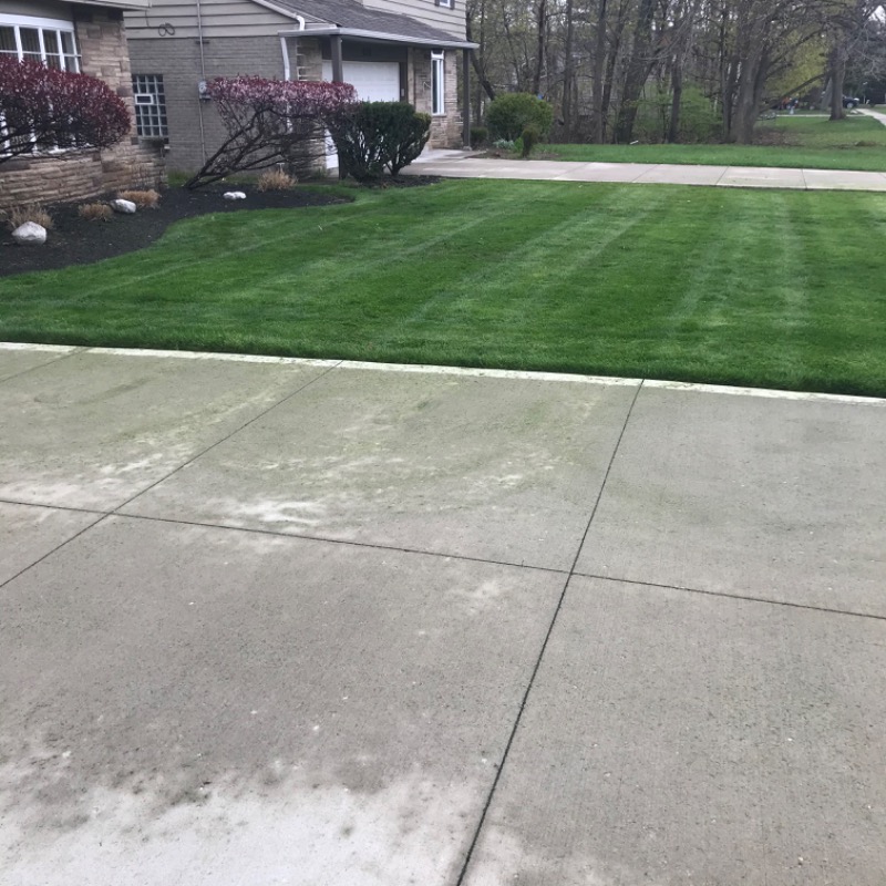 Green Bear Lawn Care Lawn Care Services in Cleveland, OH