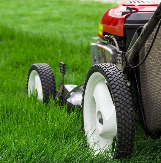 Low Key Lawn Care Lawn Care Services in Troy, NY