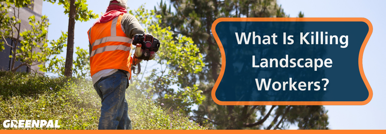 What Is Killing Landscapers? (The States, Hazards, and Costs You Need