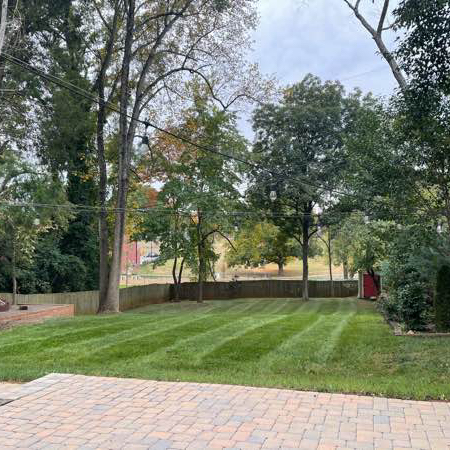 Td Landescaping L Lc Lawn Care Services in Charlotte, NC