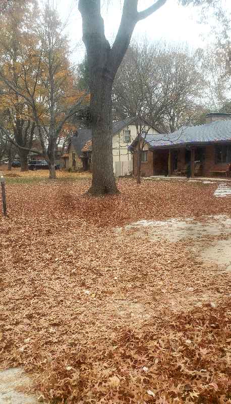 Deep Roots Lawn Care Lawn Care Services in Springfield, MO