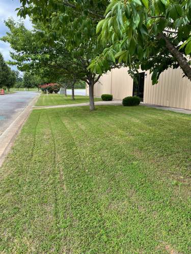 Grass Busters Lawn Care Services in Dallas, GA