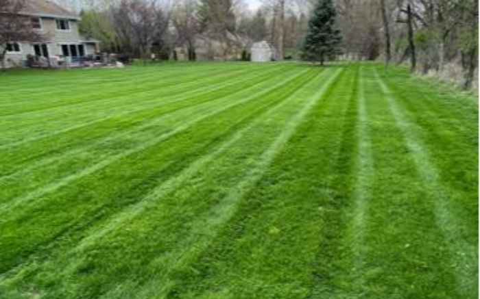 C Chicks Scapes Lawn Care Services in Albuquerque, NM