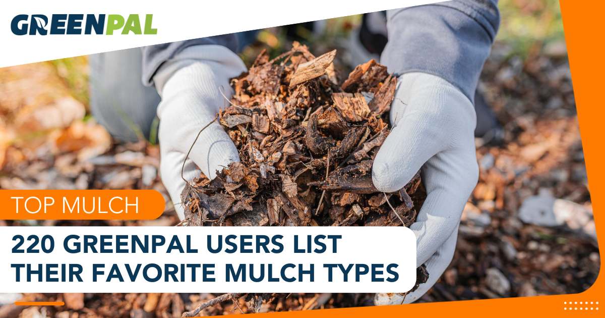 220 Homeowners Share Their Top 10 Mulch Types | GreenPal