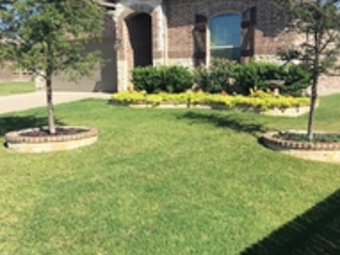 Martin Lawn Lawn Care Services in Arlington, TX