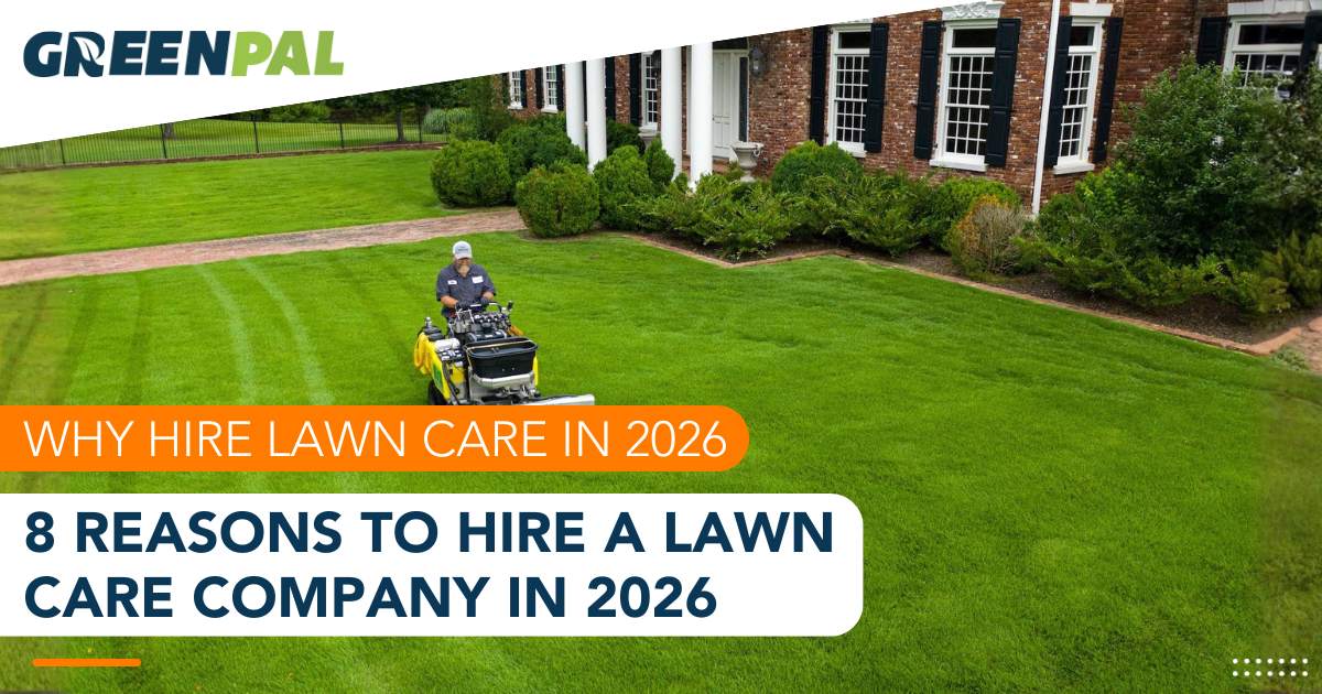 8 Reasons to Hire a Lawn Care Company in 2026 | GreenPal | GreenPal