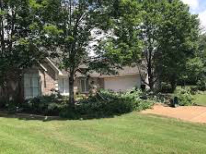 The Lawn Pro Landscape Lawn Care Services in Tuscaloosa, AL