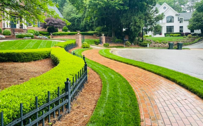 Collins Clean Up Lawn Care Services in Louisville, KY