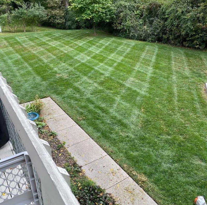 Mow Hawks 919 Lawn Care Services in Raleigh, NC