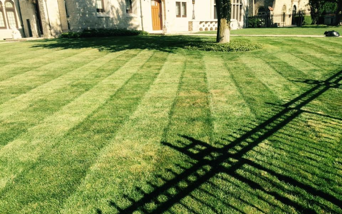 Tailored Turf Lawn Care Services in Meridian, ID