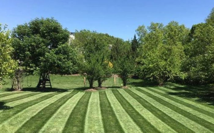 Terra’s Lawn Care Lawn Care Services in Colorado Springs, CO