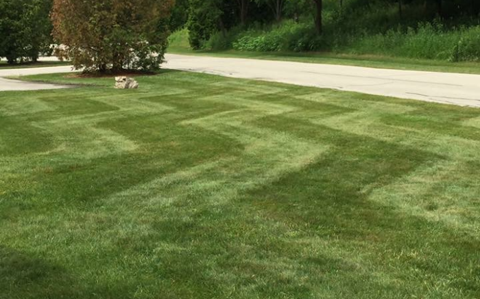 Green Machine Lawn Care Services in Reno, NV