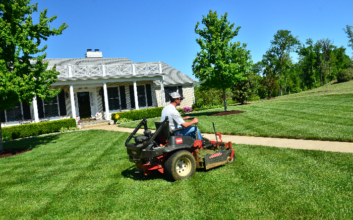 Single Line Tree Car Lawn Care Services in Hillsboro, OR