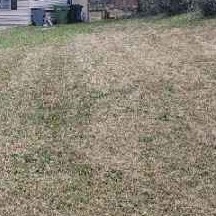 Twelve Oaks Lawn Svc. Lawn Care Services in West Point, GA