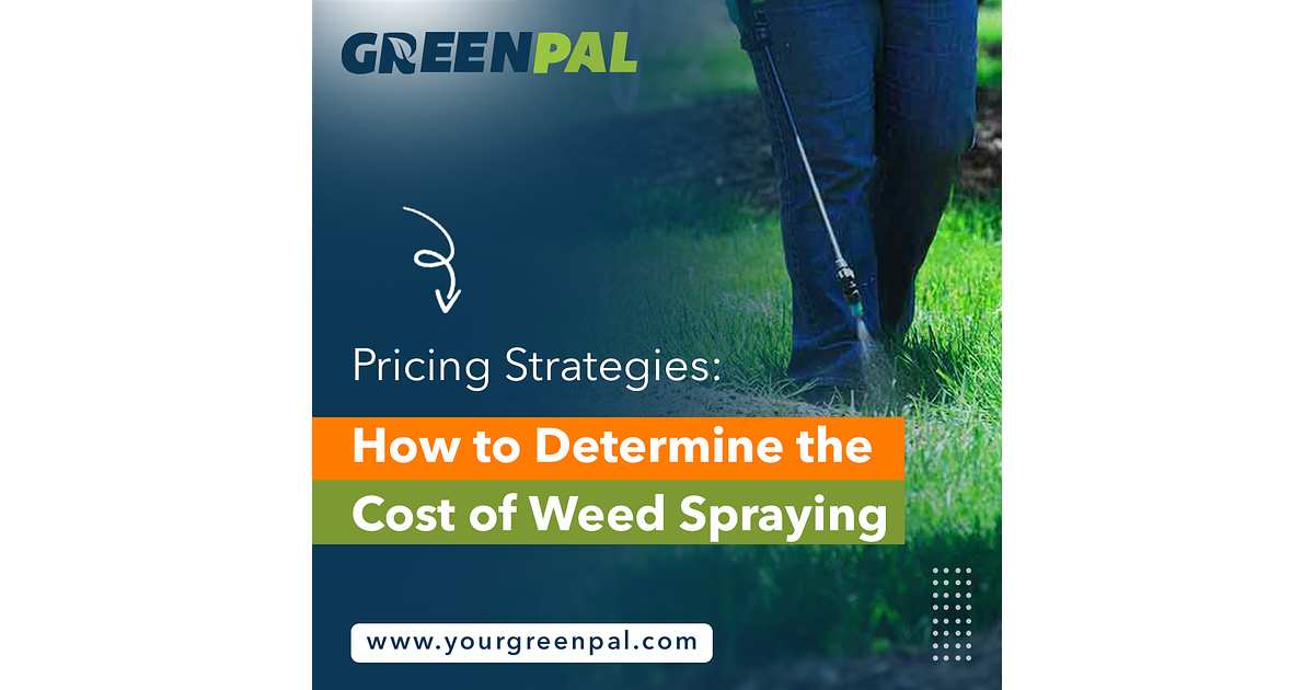 How to Price Weed Spraying Services: A Comprehensive Guide for Lawn